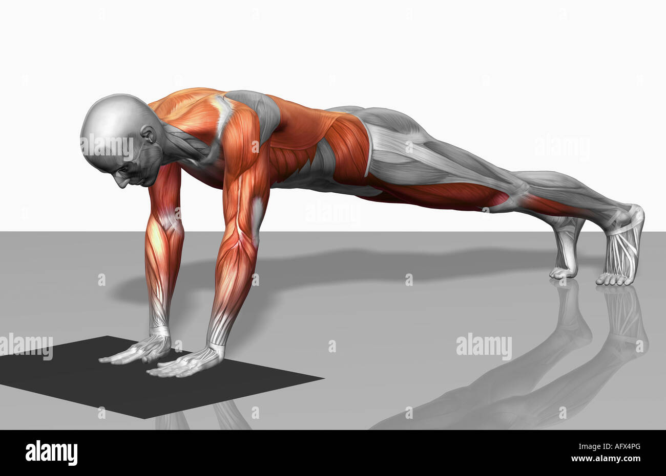 Towel fly exercise (Part 2 of 2 Stock Photo - Alamy