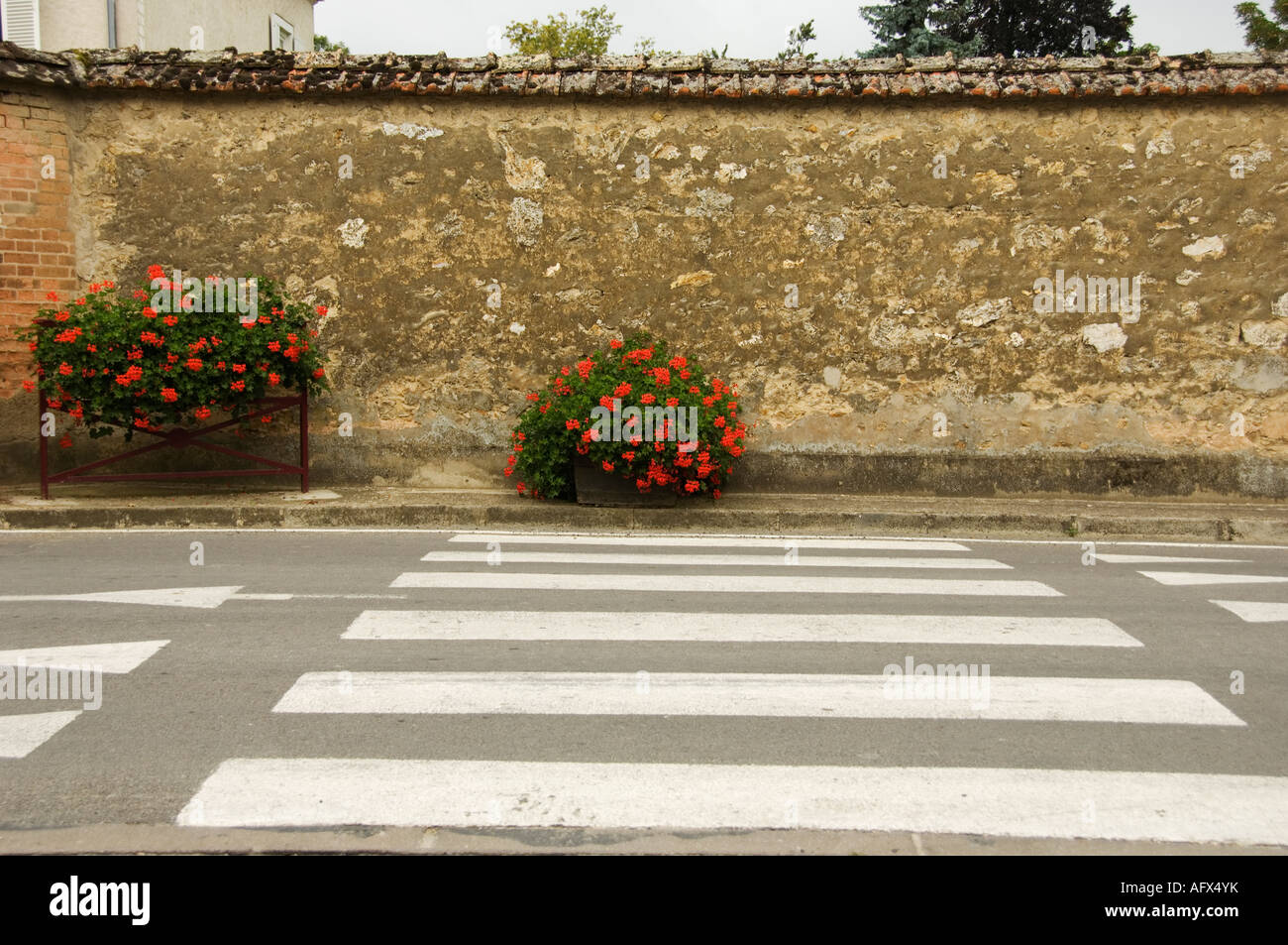 pedestrian crossing and flower pot at chigny les roses champagne france ...