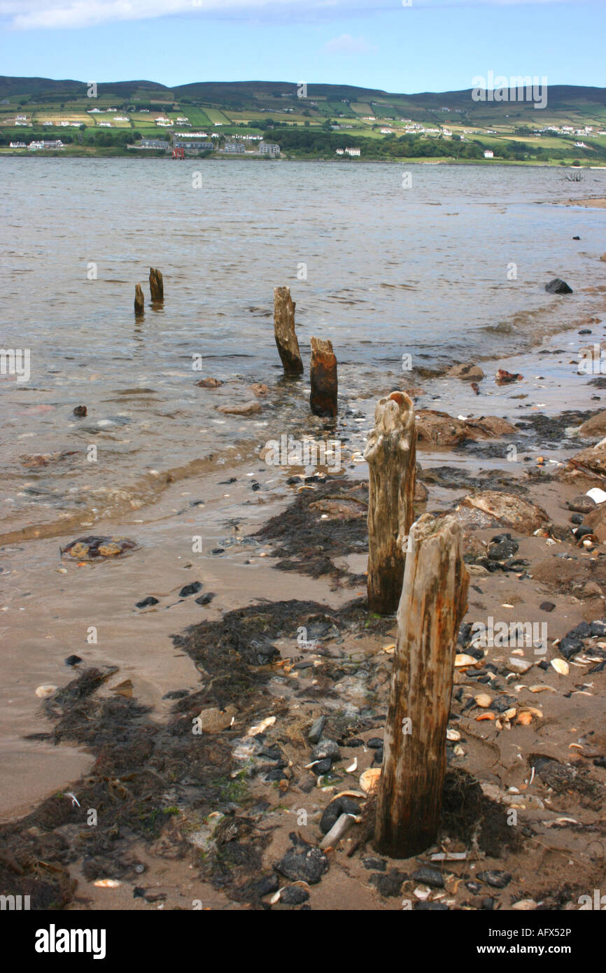 the shore of Lough Foyle at Magilligan with County Donegal seen across ...