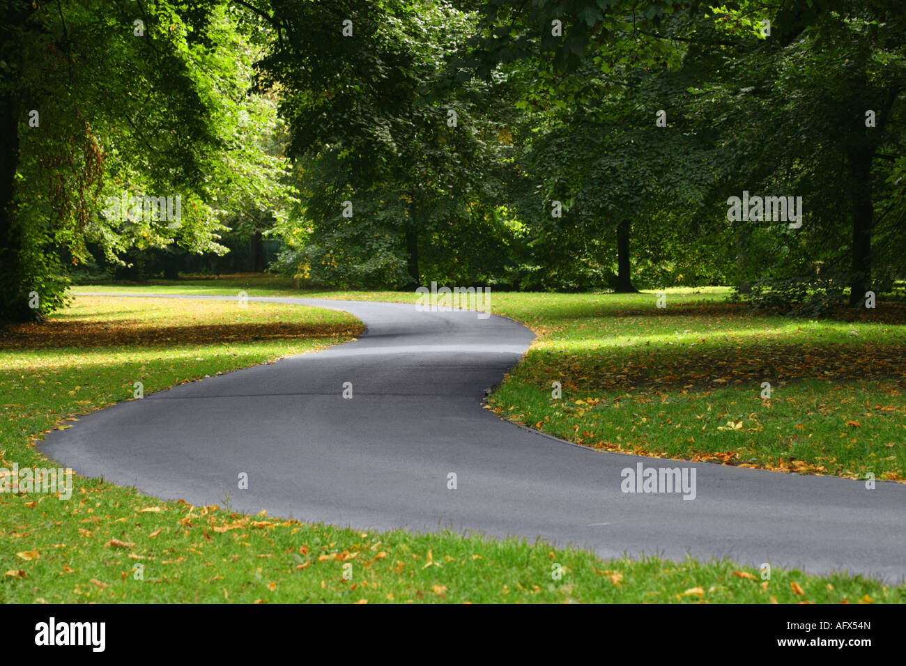Clean path winds through a green leafy park with sunshine Stock Photo ...