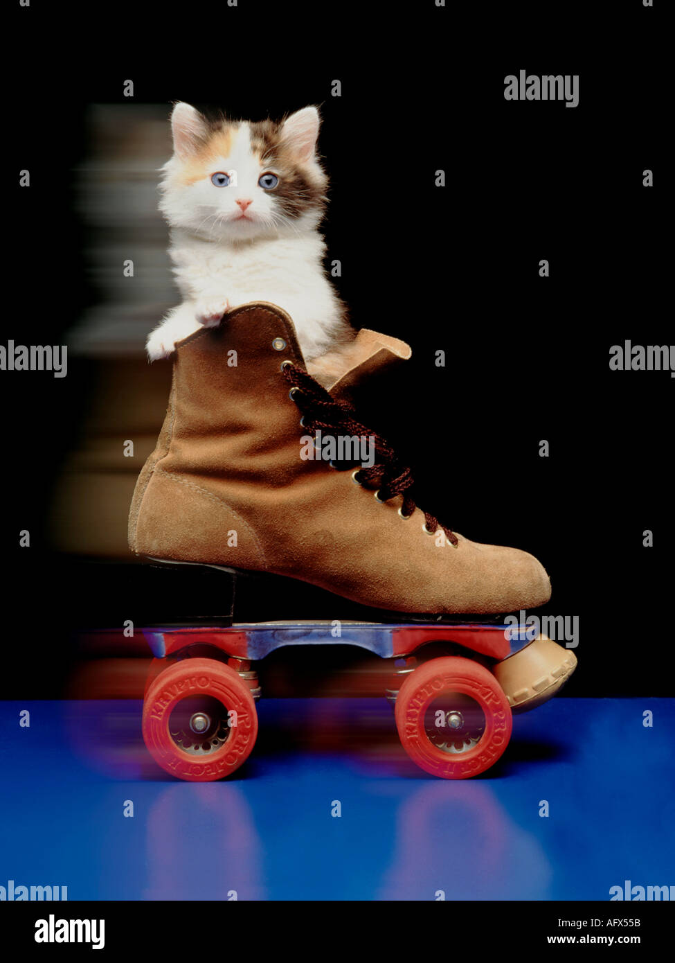 Slow motion skate hi-res stock photography and images - Alamy