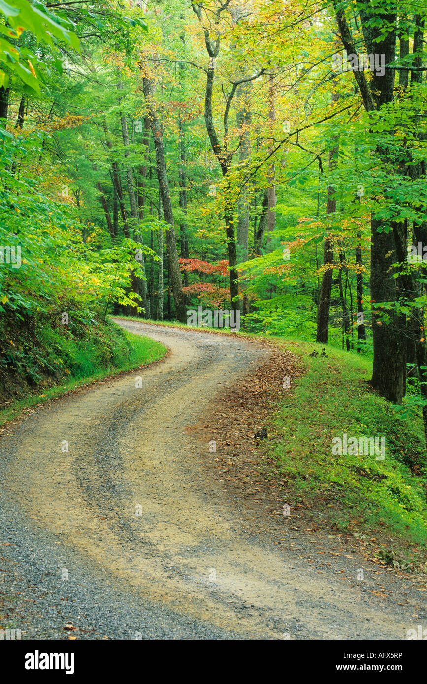 Mountain road, early Autumn, USA, by Bill Lea/Dembinsky Photo Assoc ...