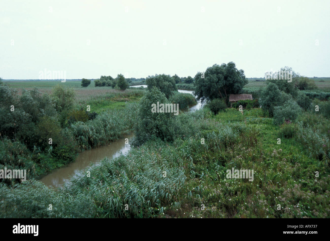 Delta danube nature hi-res stock photography and images - Alamy