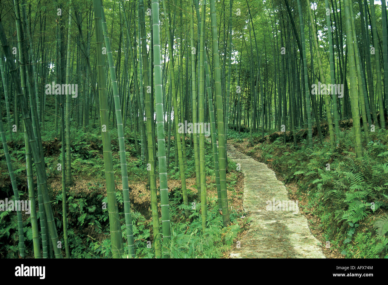 Changning hi-res stock photography and images - Alamy