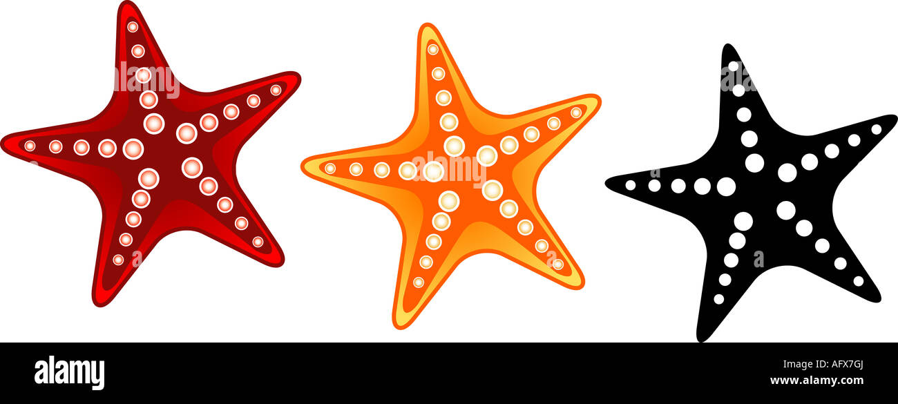 Three starfish underwater hi-res stock photography and images - Alamy