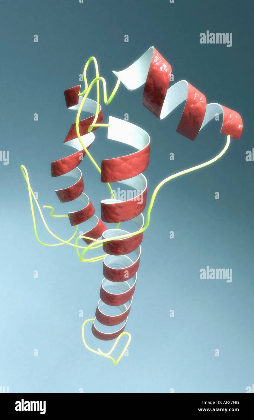 Ribbon diagrams hi-res stock photography and images - Alamy