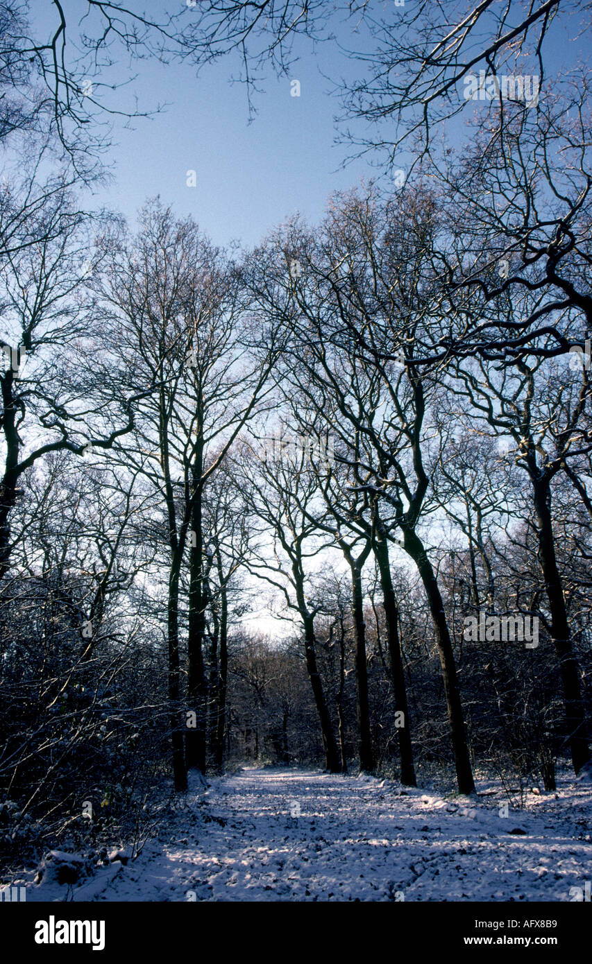 Oxleas hi-res stock photography and images - Alamy