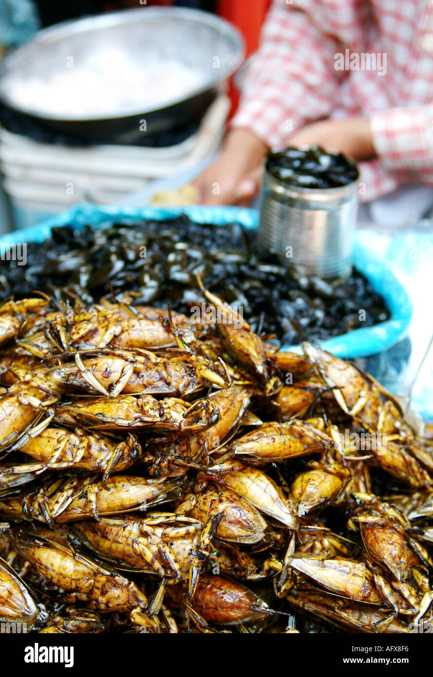 Fried bugs and insects, Cambodian street market Stock Photo - Alamy