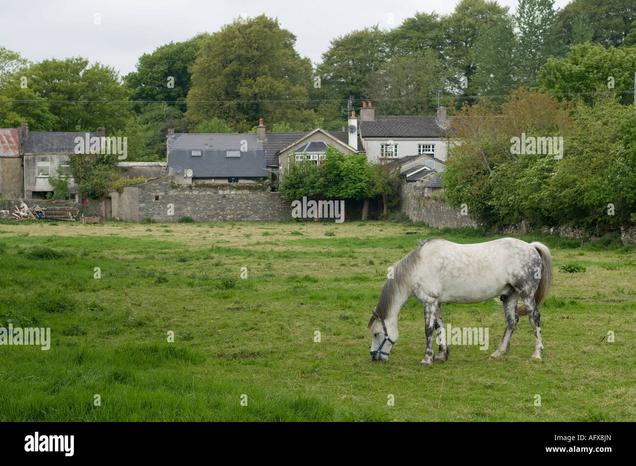 Thomastown County Kilkenny Ireland Stock Photo - Alamy
