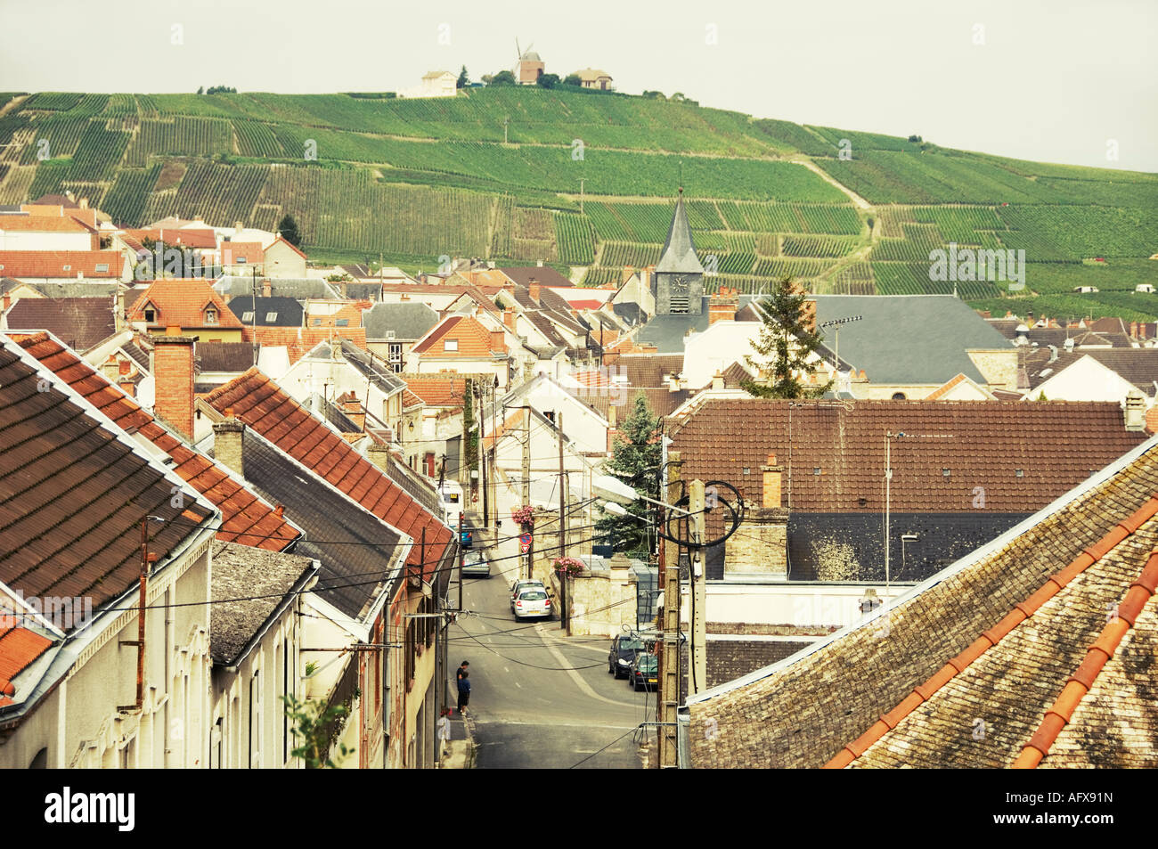 Vineyard at verzy montagne de reims france hi-res stock photography and ...