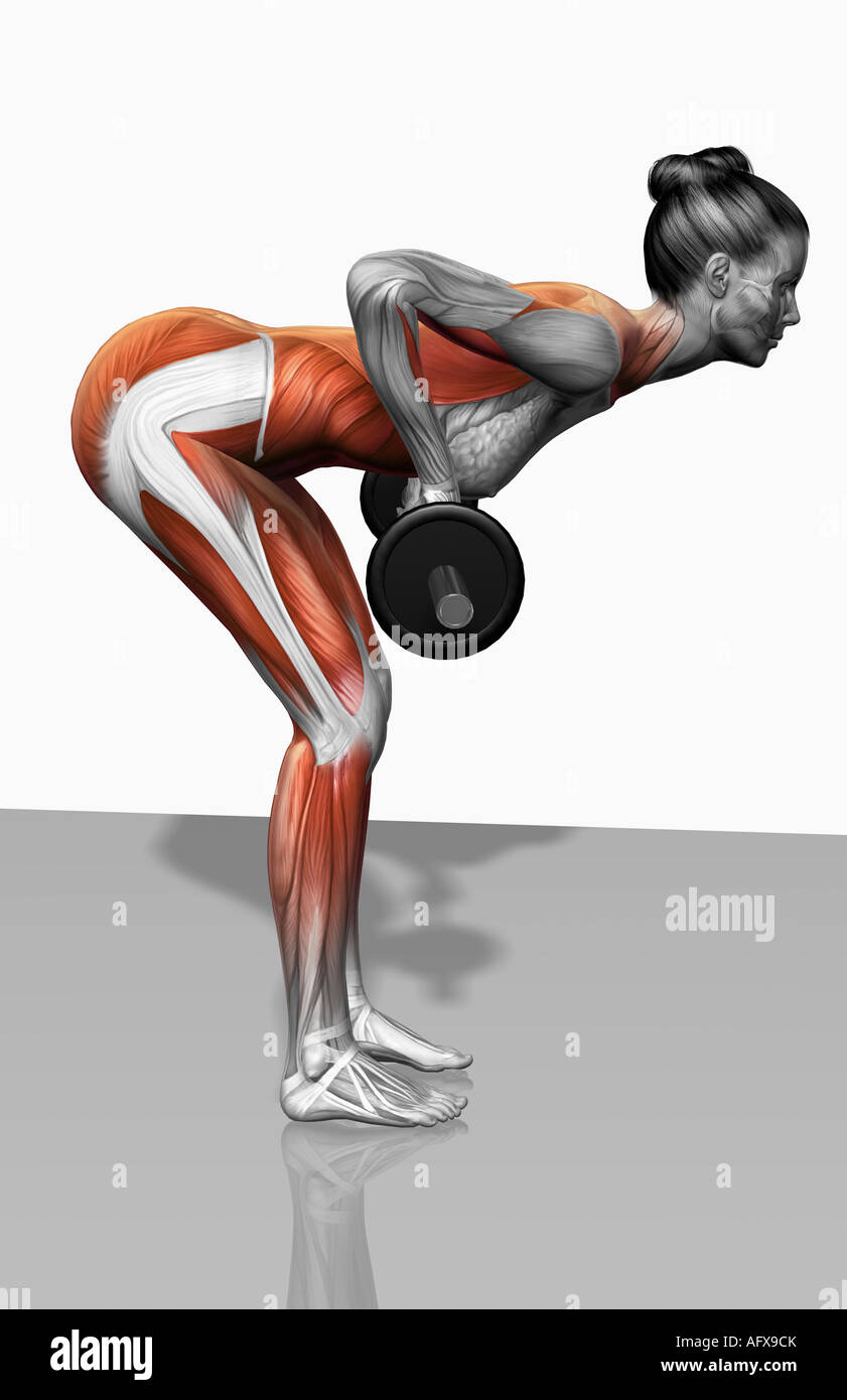 Bent over row exercises hi-res stock photography and images - Alamy