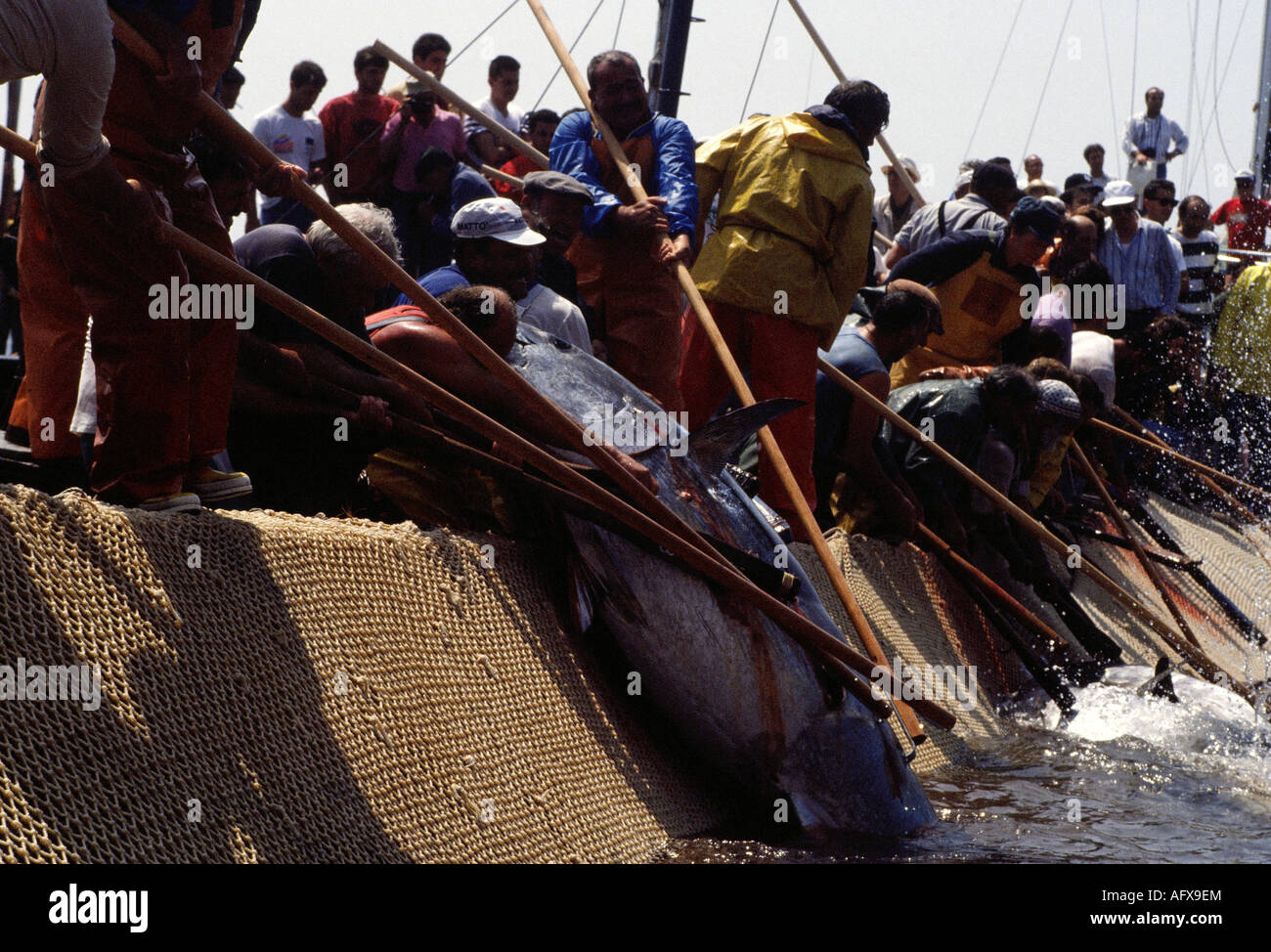 Sicily tuna fish mattanza hi-res stock photography and images - Alamy