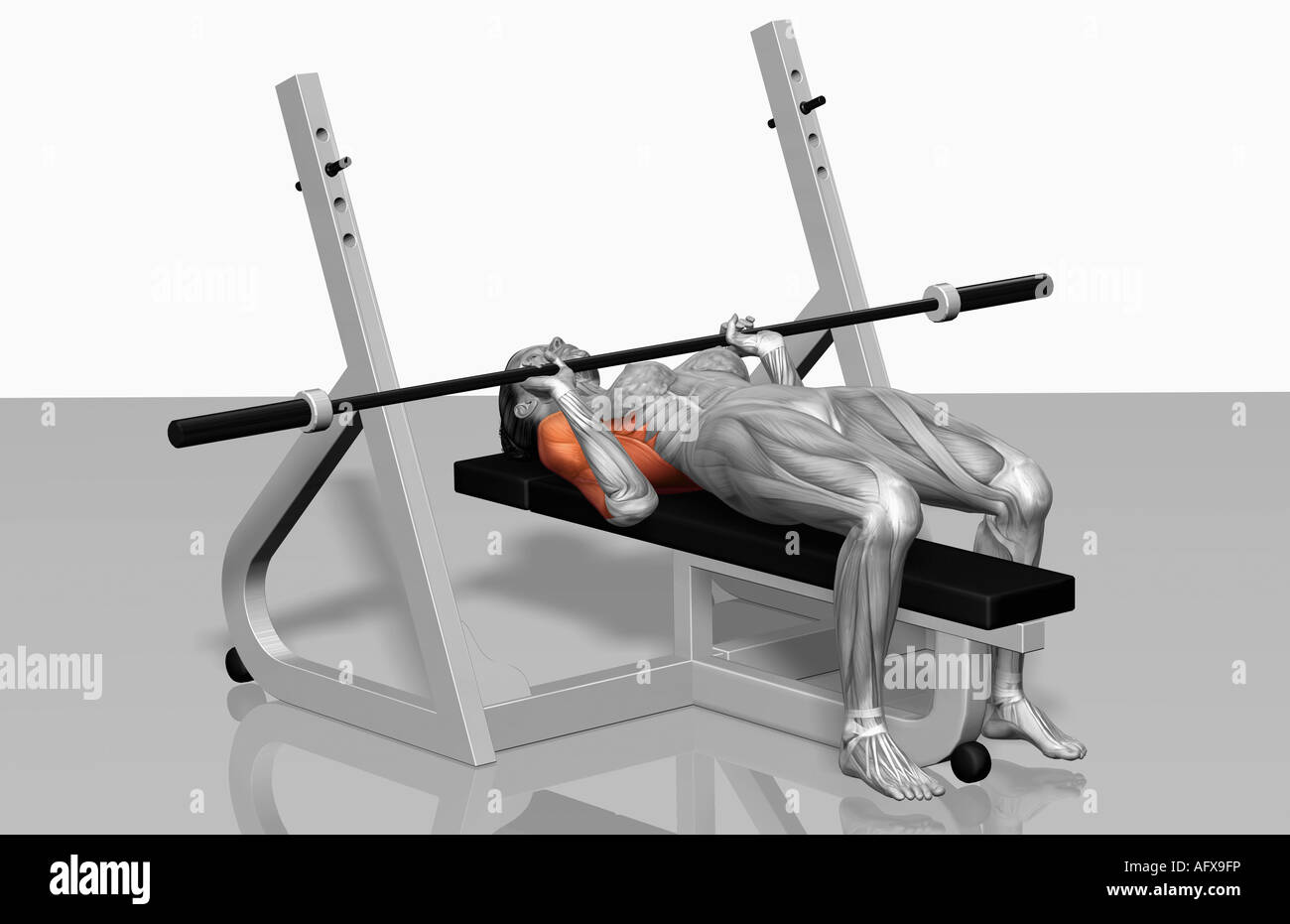 Bench press (Part 2 of 2 Stock Photo - Alamy