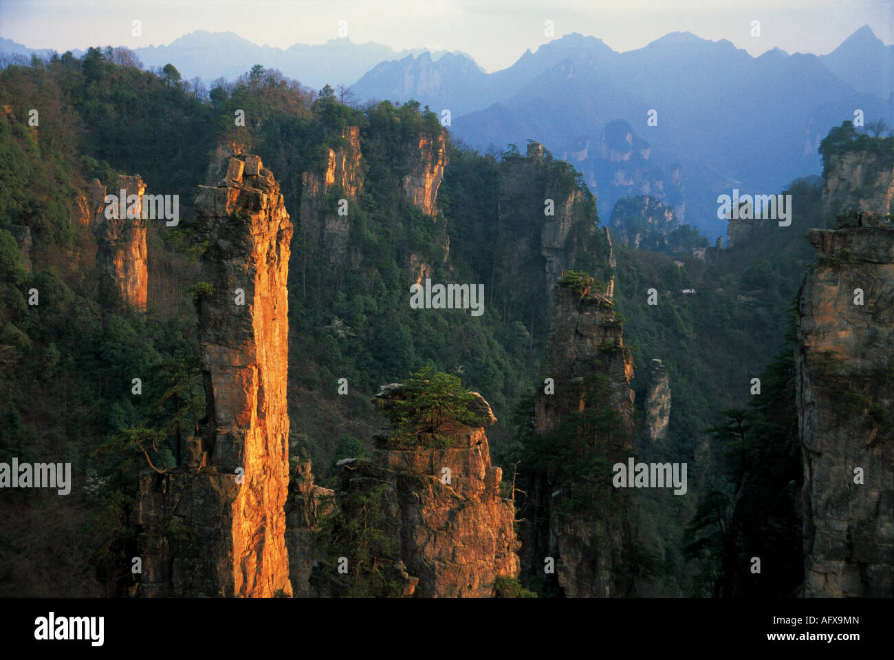 Sandstone Pillars in Wulingyuan Scenic Area Stock Photo - Alamy