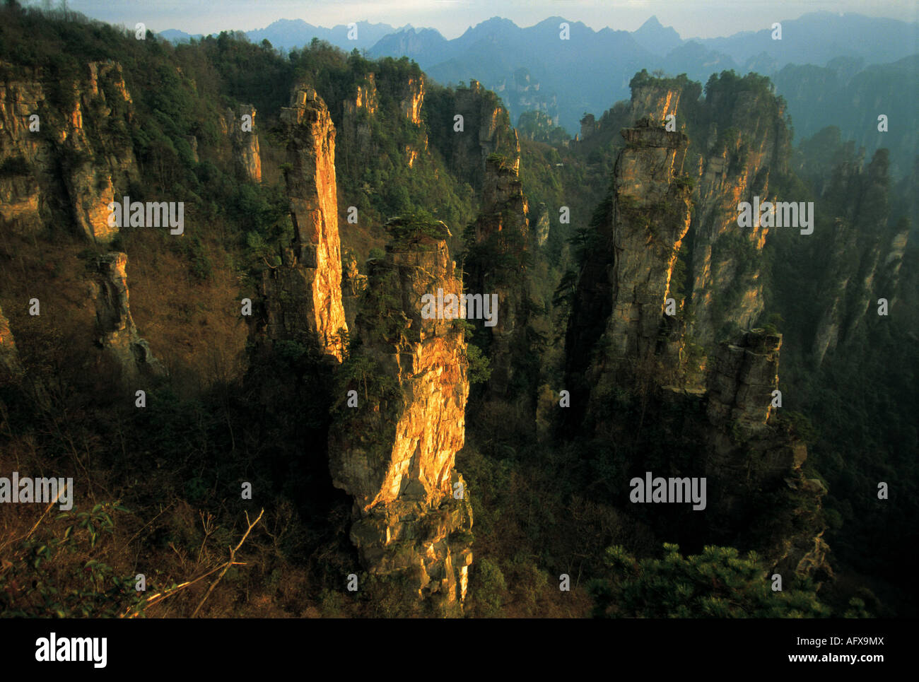 Sandstone Pillars in Wulingyuan Scenic Area Stock Photo - Alamy