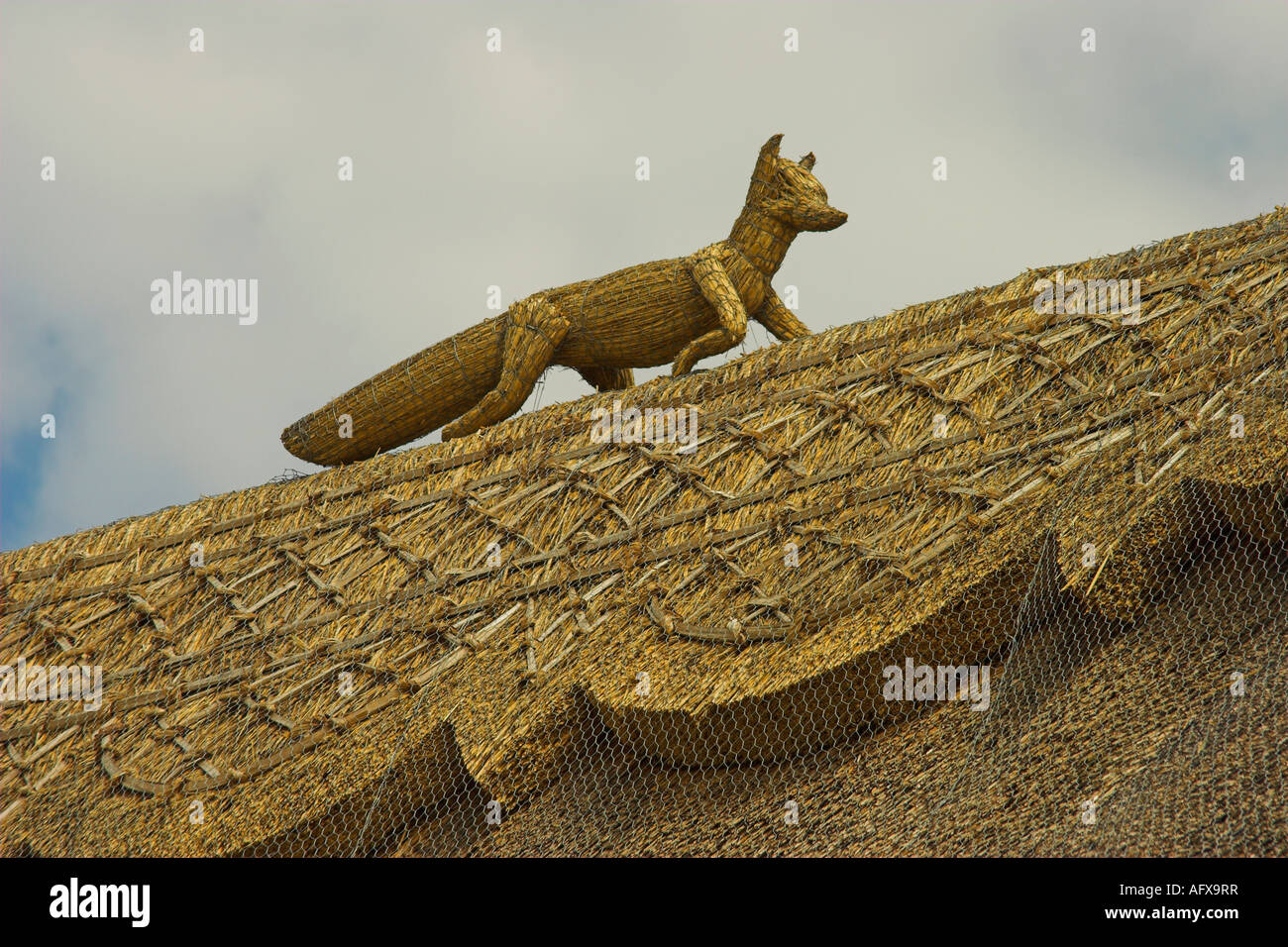 Roof and fox hi-res stock photography and images - Alamy