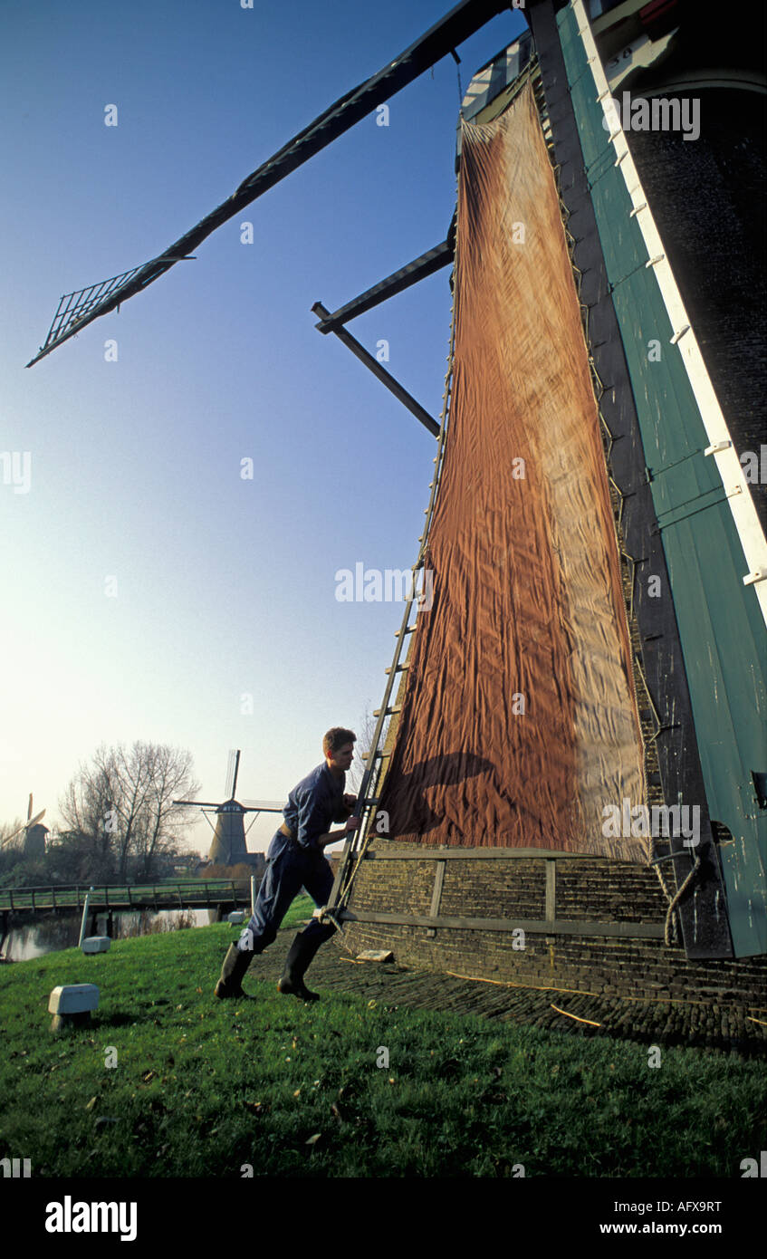 Netherlands Kinderdijk Miller pushing blade of windmill Stock Photo - Alamy