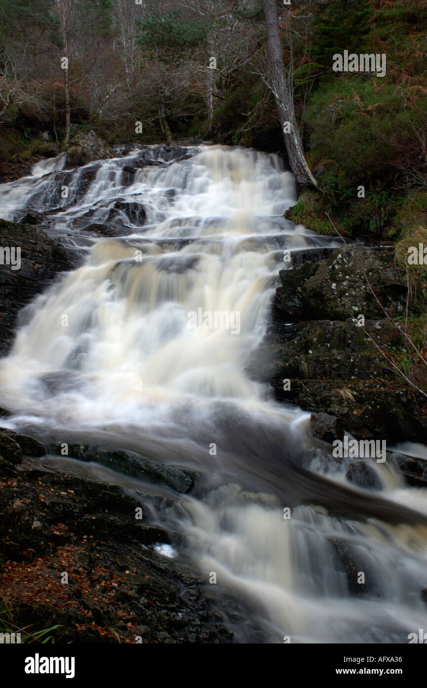 Guisachan hi-res stock photography and images - Alamy