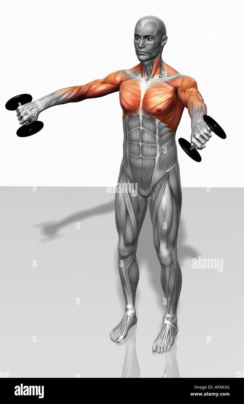 Empty cans exercise (Part 1 of 2 Stock Photo - Alamy