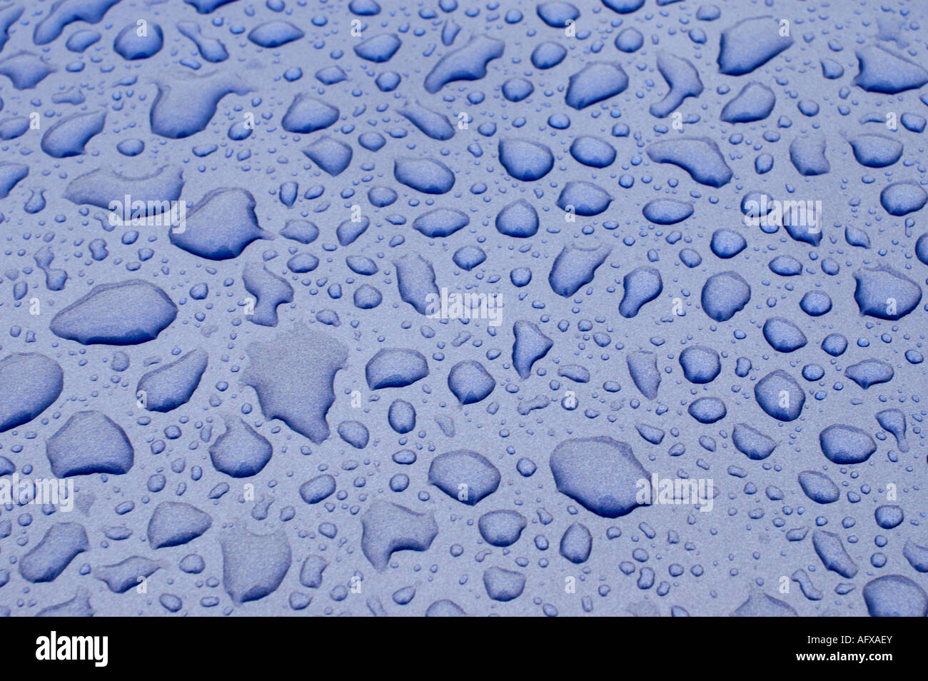Water Droplets on Car Bodywork Stock Photo - Alamy