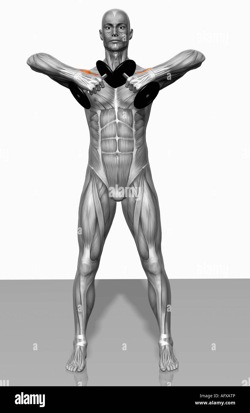 Upright row exercise (Part 1 of 2 Stock Photo - Alamy