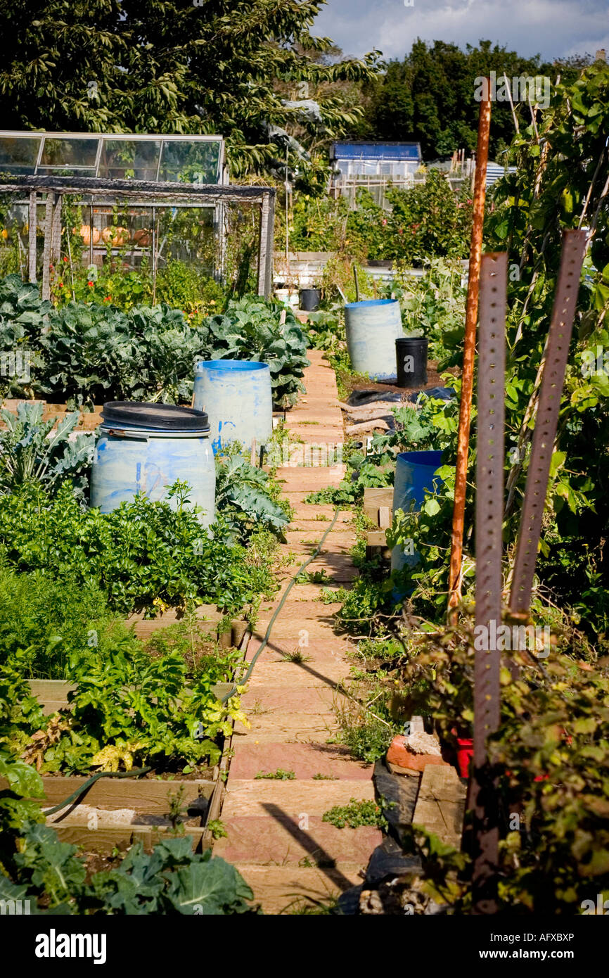 Allocated allotments hi-res stock photography and images - Alamy