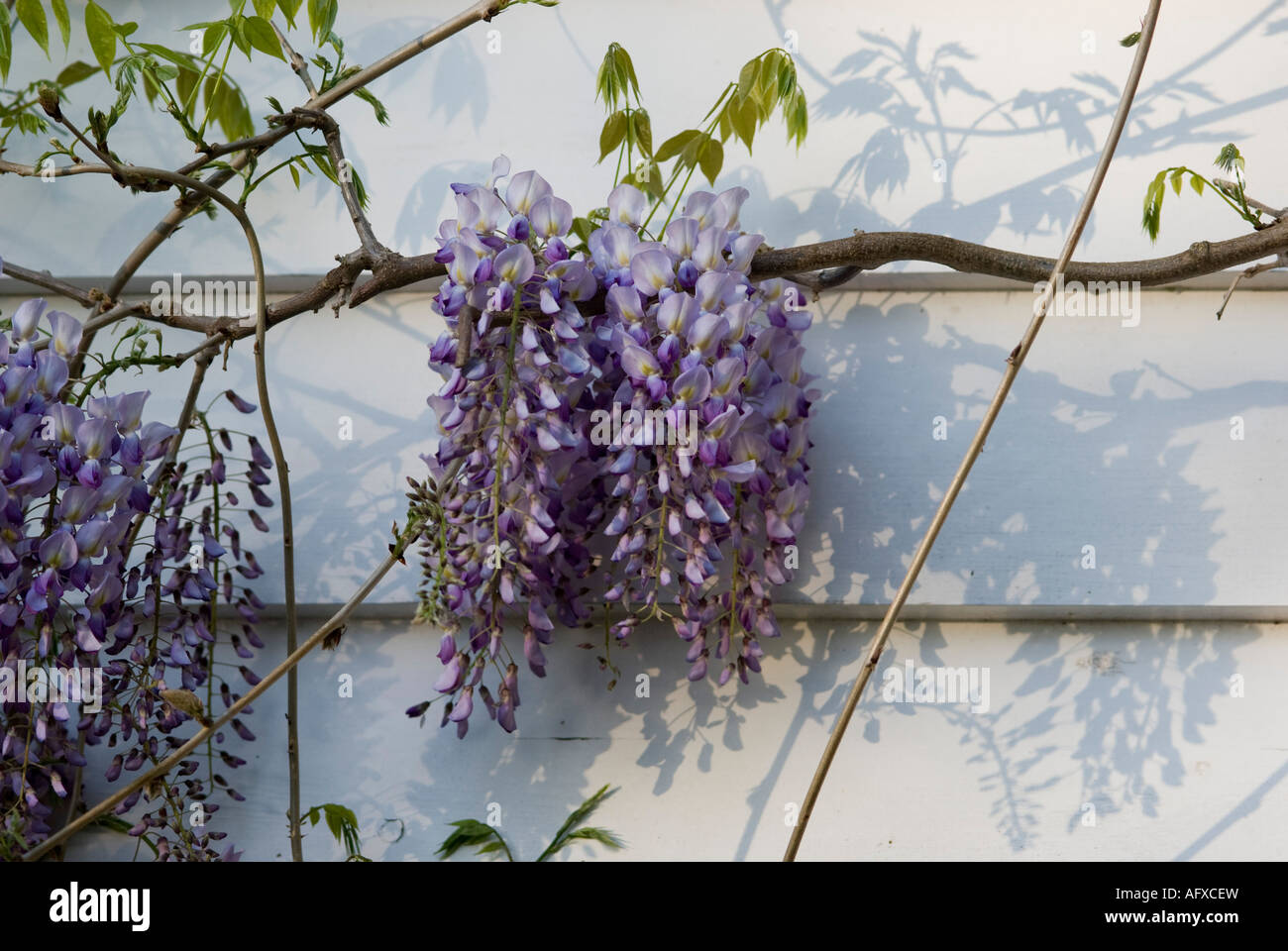 Kentish vernacular architecture hi-res stock photography and images - Alamy