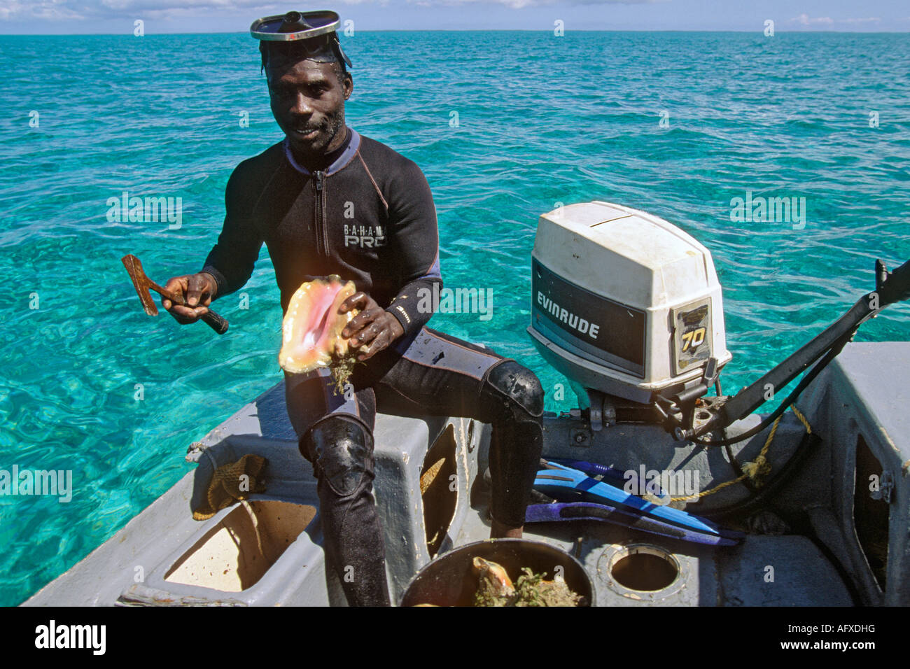 Bahamian diver cracking the shell of a freshly caught conch in a ...