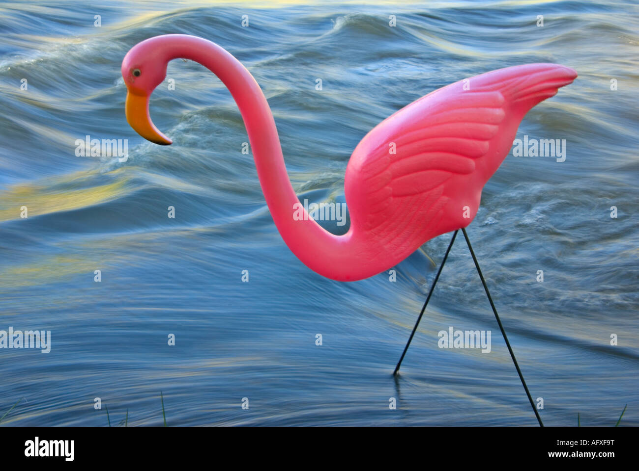 Rio grand new mexico hi-res stock photography and images - Alamy