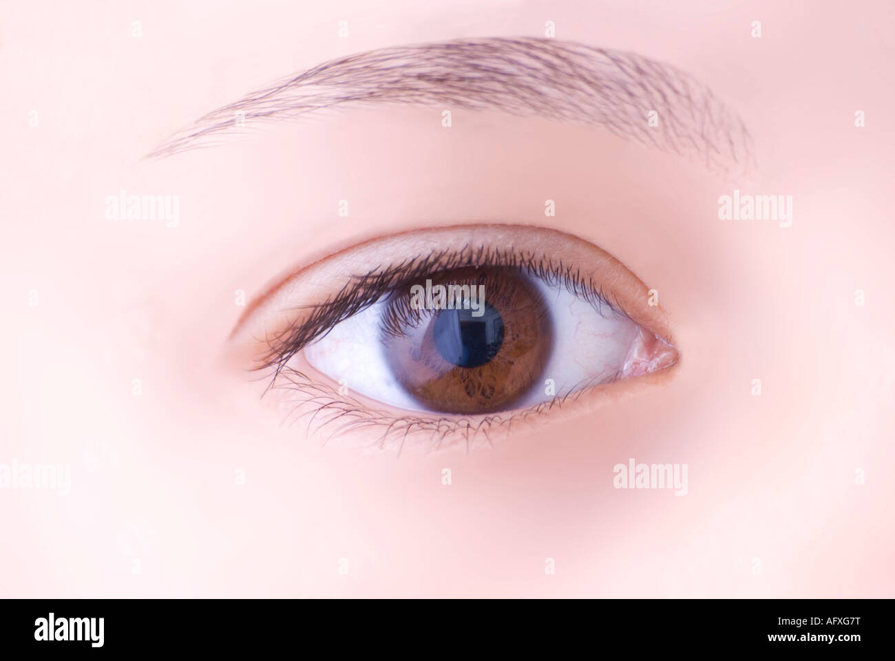 Close up of a young girl's eye Stock Photo - Alamy