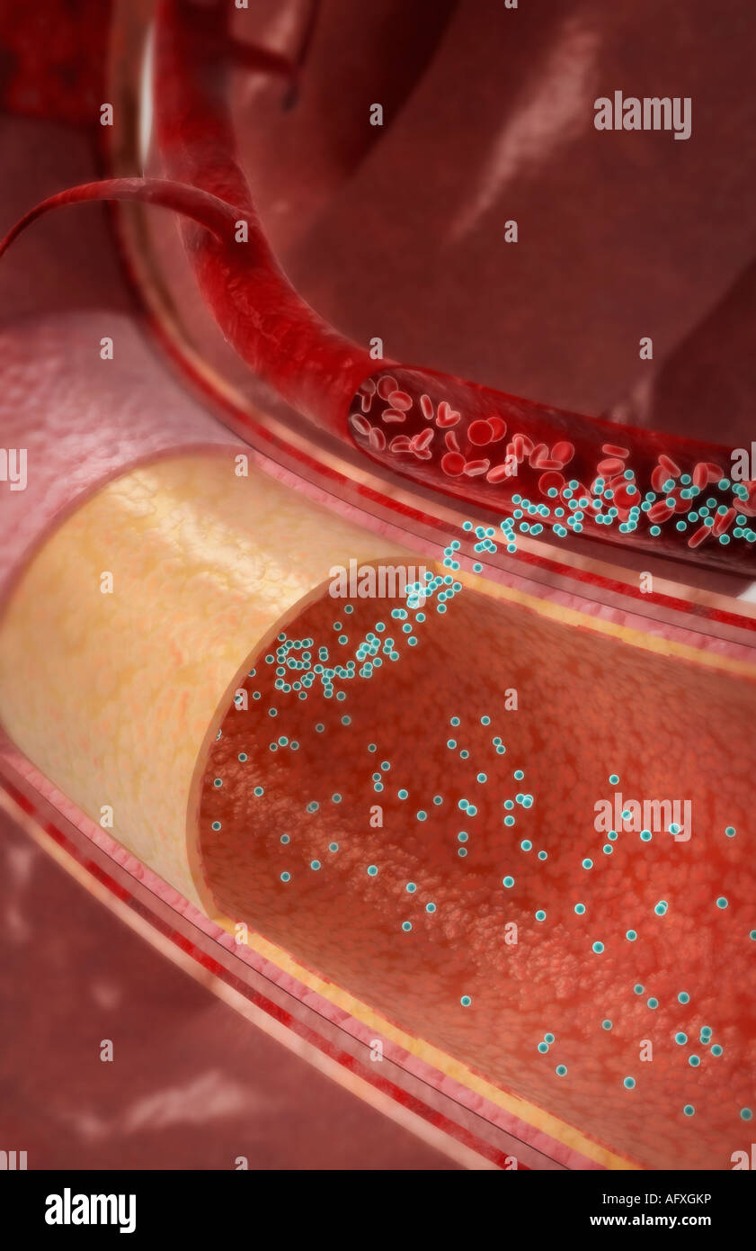 Drug absorption Stock Photo - Alamy