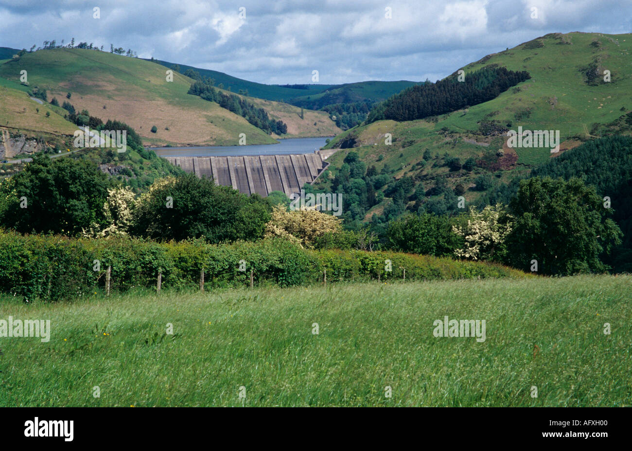 POWYS NORTH WALES UK June View to Llyn Clywedog Dam built in 1969 on ...
