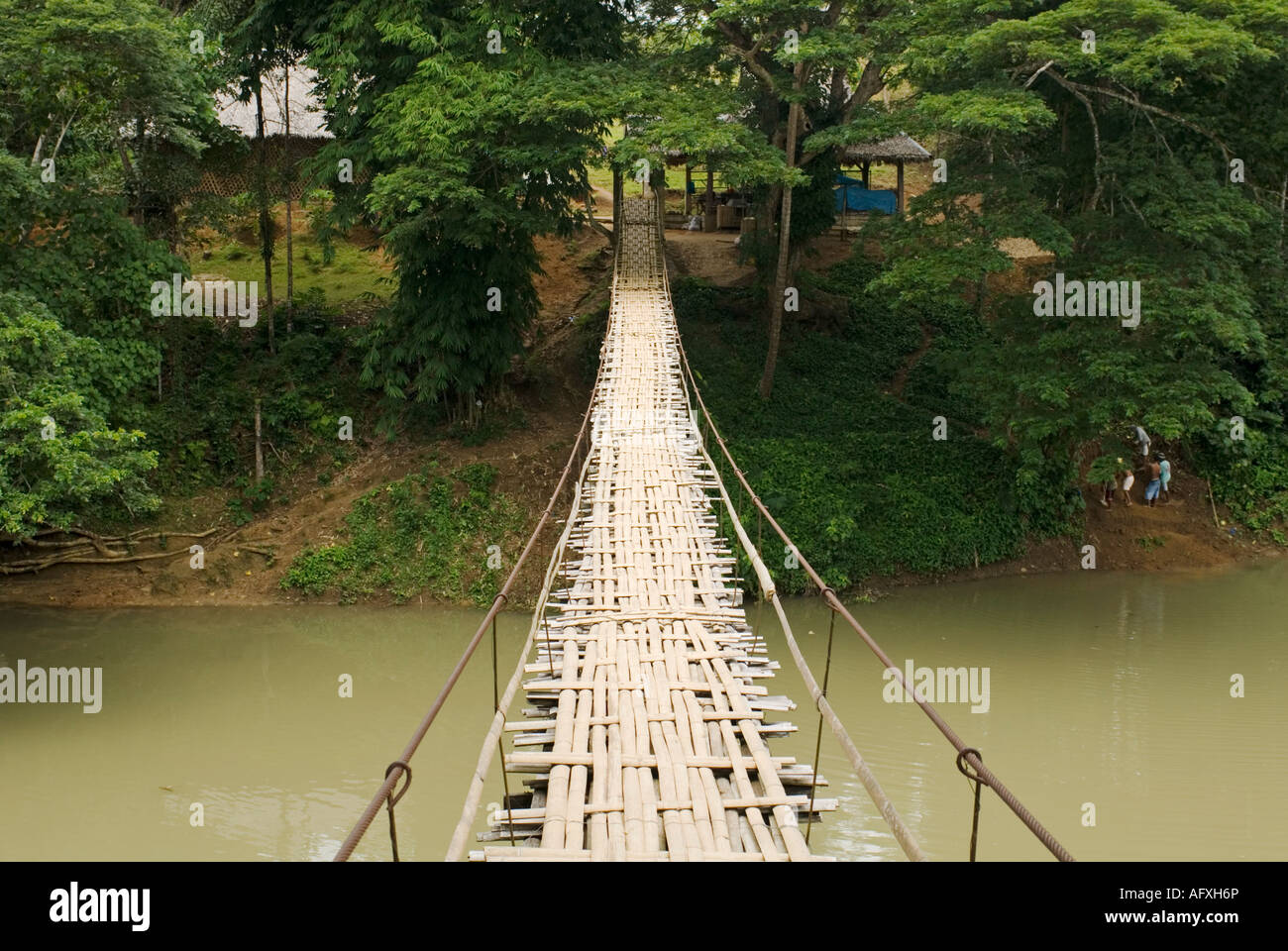 Philippines Bohol Tigbao Hanging Bridge Loboc River Visayas Stock Photo ...