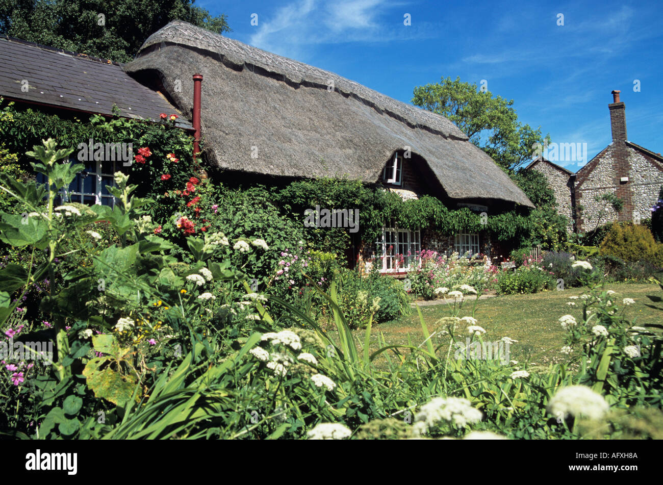 Slindon village hi-res stock photography and images - Alamy