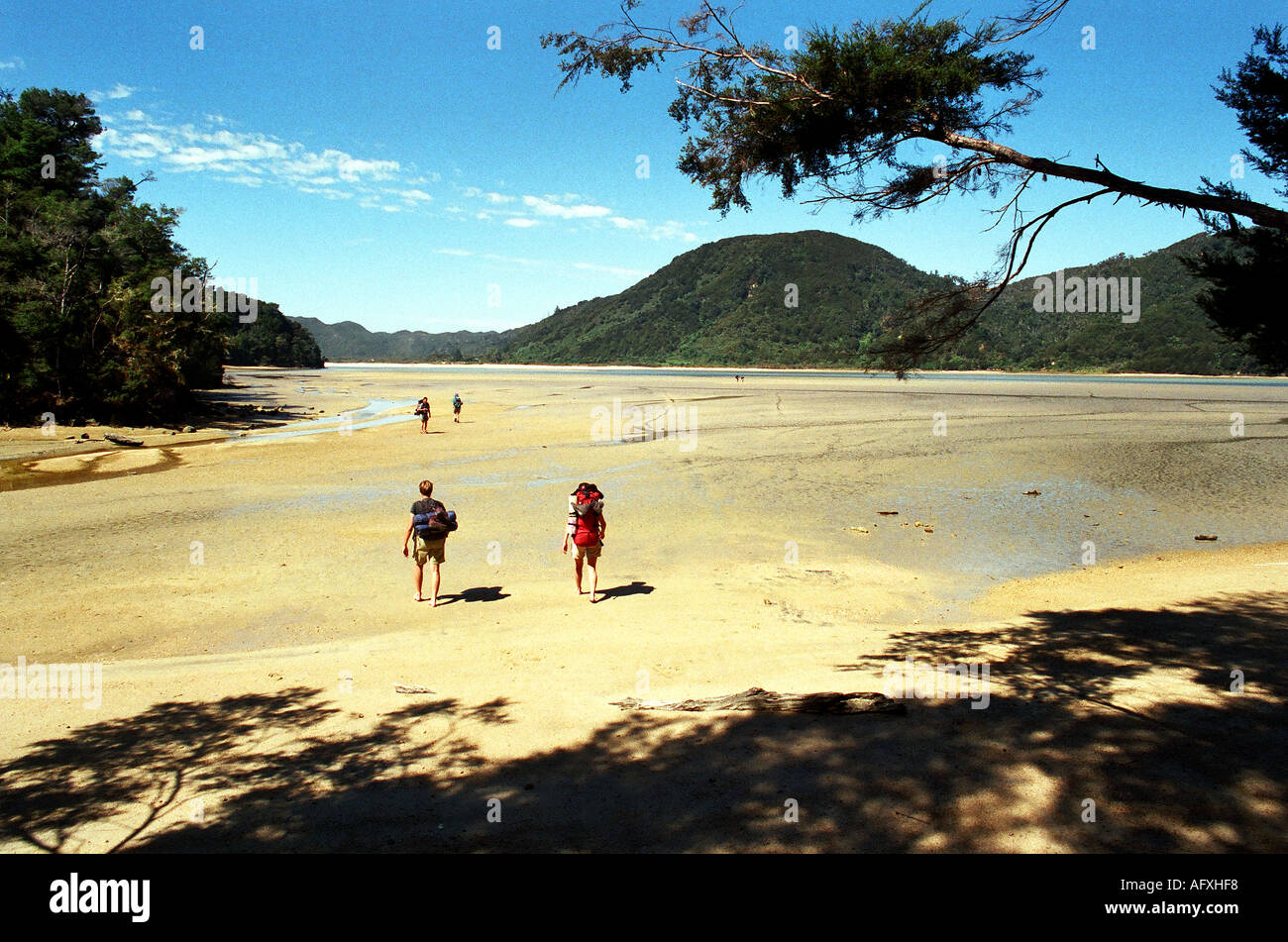 Crossing the Awaroa Inlet on the Abel Tasman Coast Path Stock Photo - Alamy