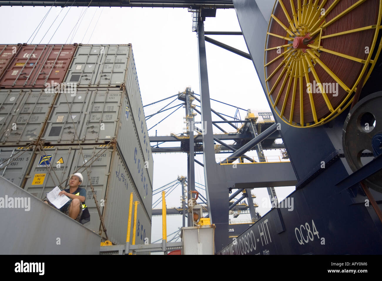 Container shipping longshoreman watches and checks schedule of ...