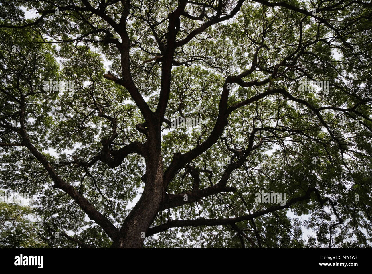 Contorted limbs hi-res stock photography and images - Alamy