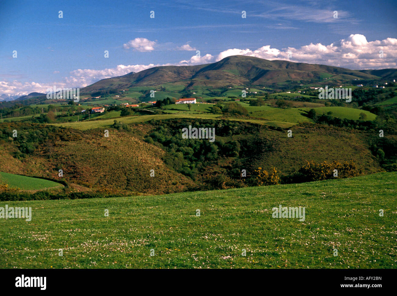 Family farm farmland farmhouse farmstead in the French Basque Country ...