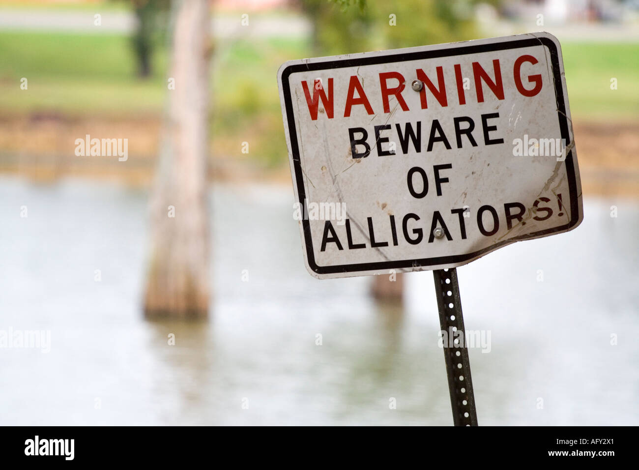 Warning beware of alligators Stock Photo - Alamy