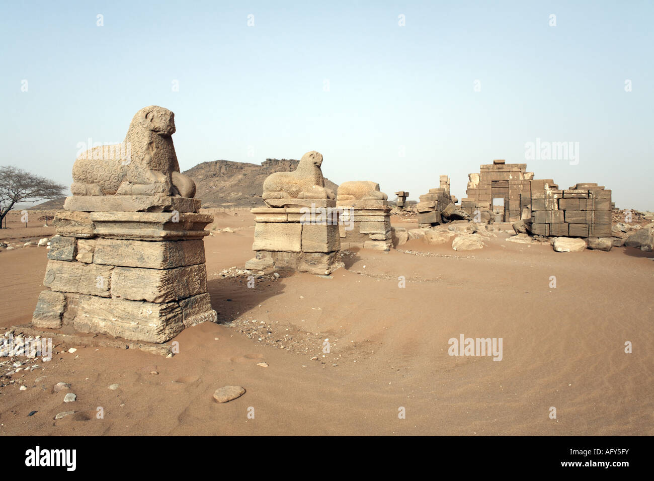 The Temple of Amun at Naqa, Sudan, Africa Stock Photo - Alamy