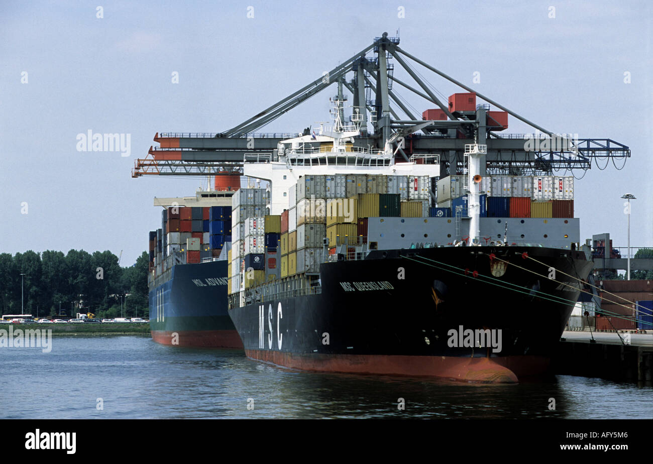 MSC 'Queensland' container ship, Port of Rotterdam, Holland Stock Photo ...