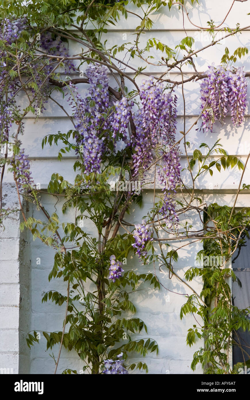 Kentish vernacular architecture hi-res stock photography and images - Alamy