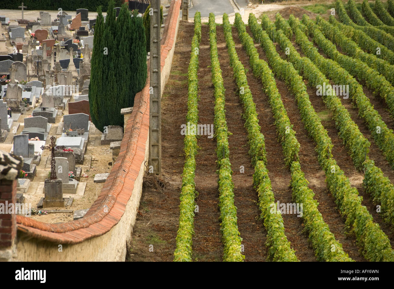 Avize and france hi-res stock photography and images - Alamy