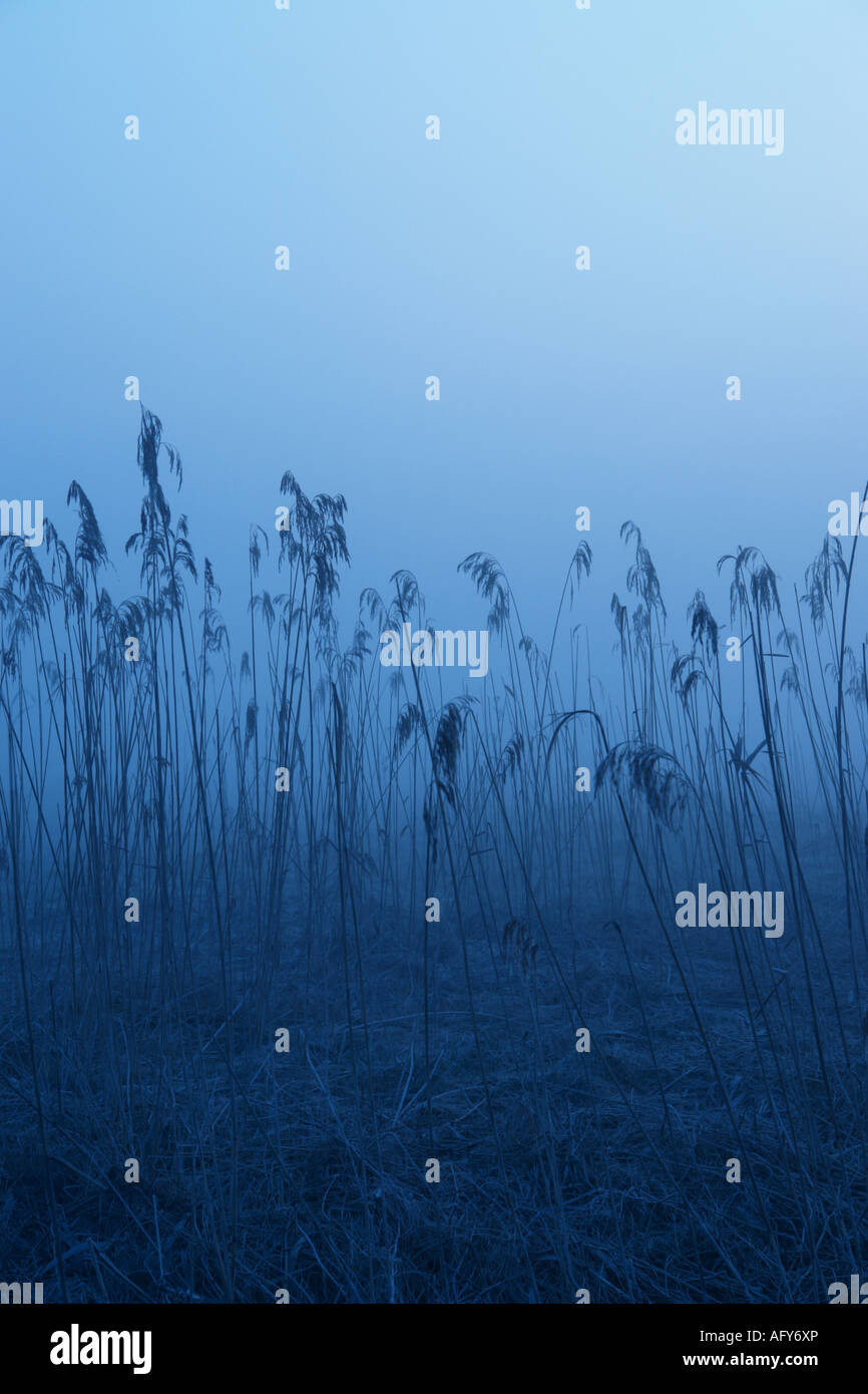 Misty landscape hi-res stock photography and images - Alamy