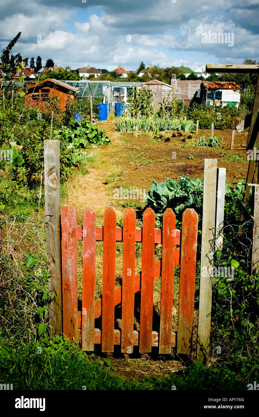 Allotment plot gate hi-res stock photography and images - Alamy