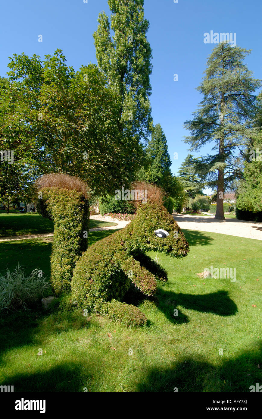 Topiary squirrel, Descartes, sud-Touraine, France Stock Photo - Alamy