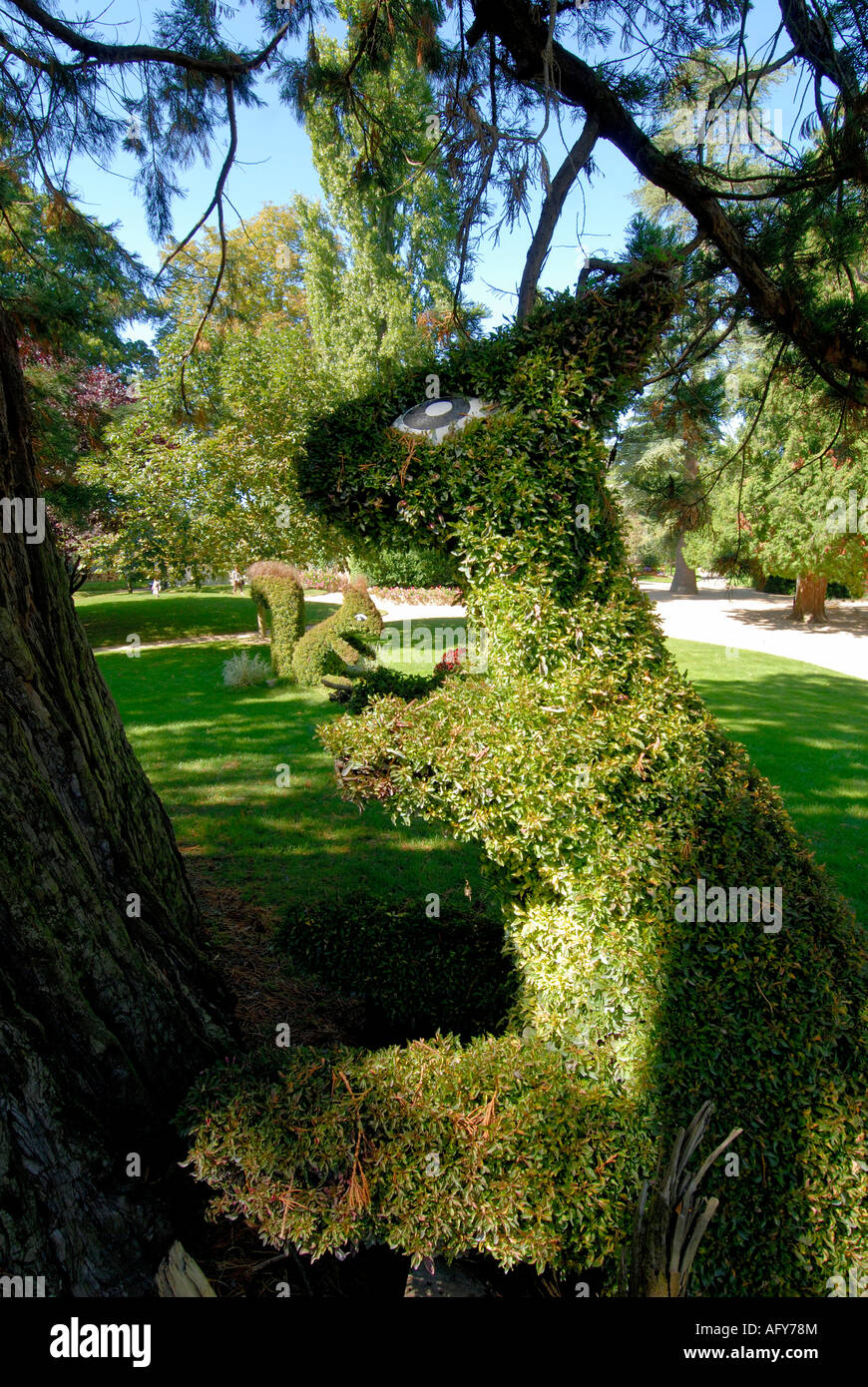 Topiary squirrel, Descartes, sud-Touraine, France Stock Photo - Alamy
