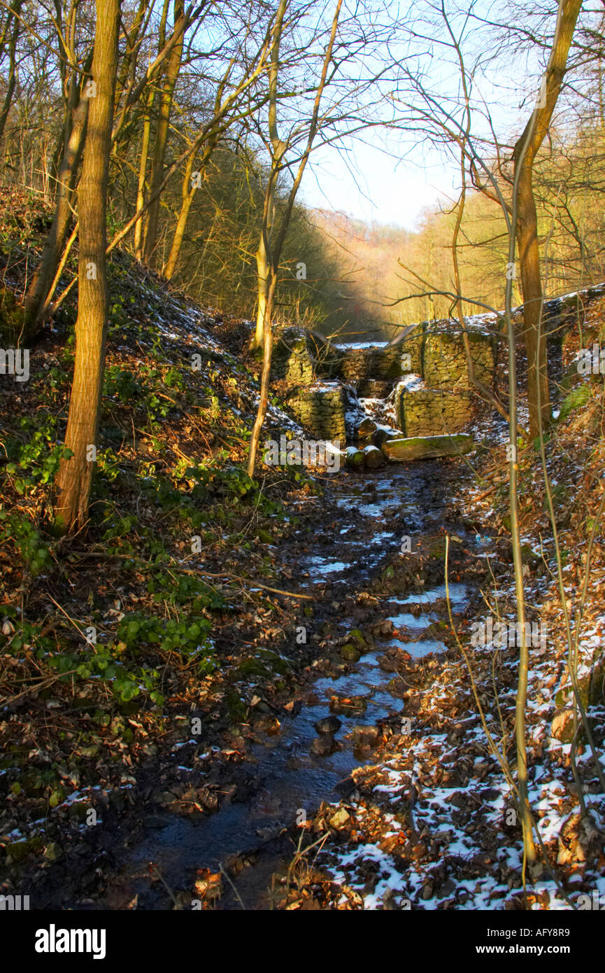 ENGLAND West Midlands Baggeridge Country Park A winter scene of a small ...