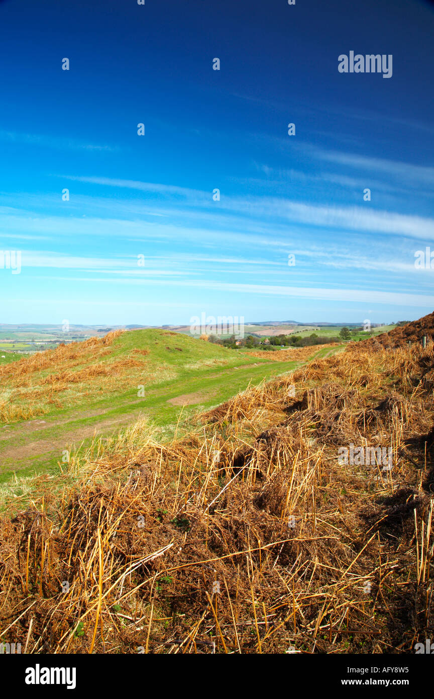 England, Northumberland, Wooler. Public footpath running through ...