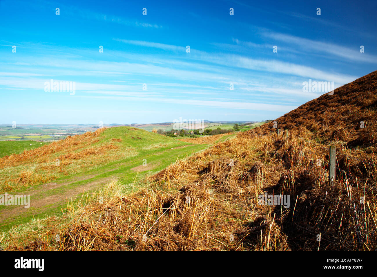 England, Northumberland, Wooler. Public footpath running through ...